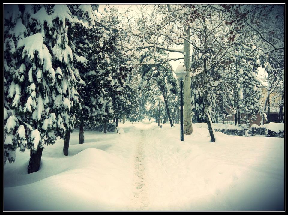 Foto Zagreb, Dubec | mojkvart.hr